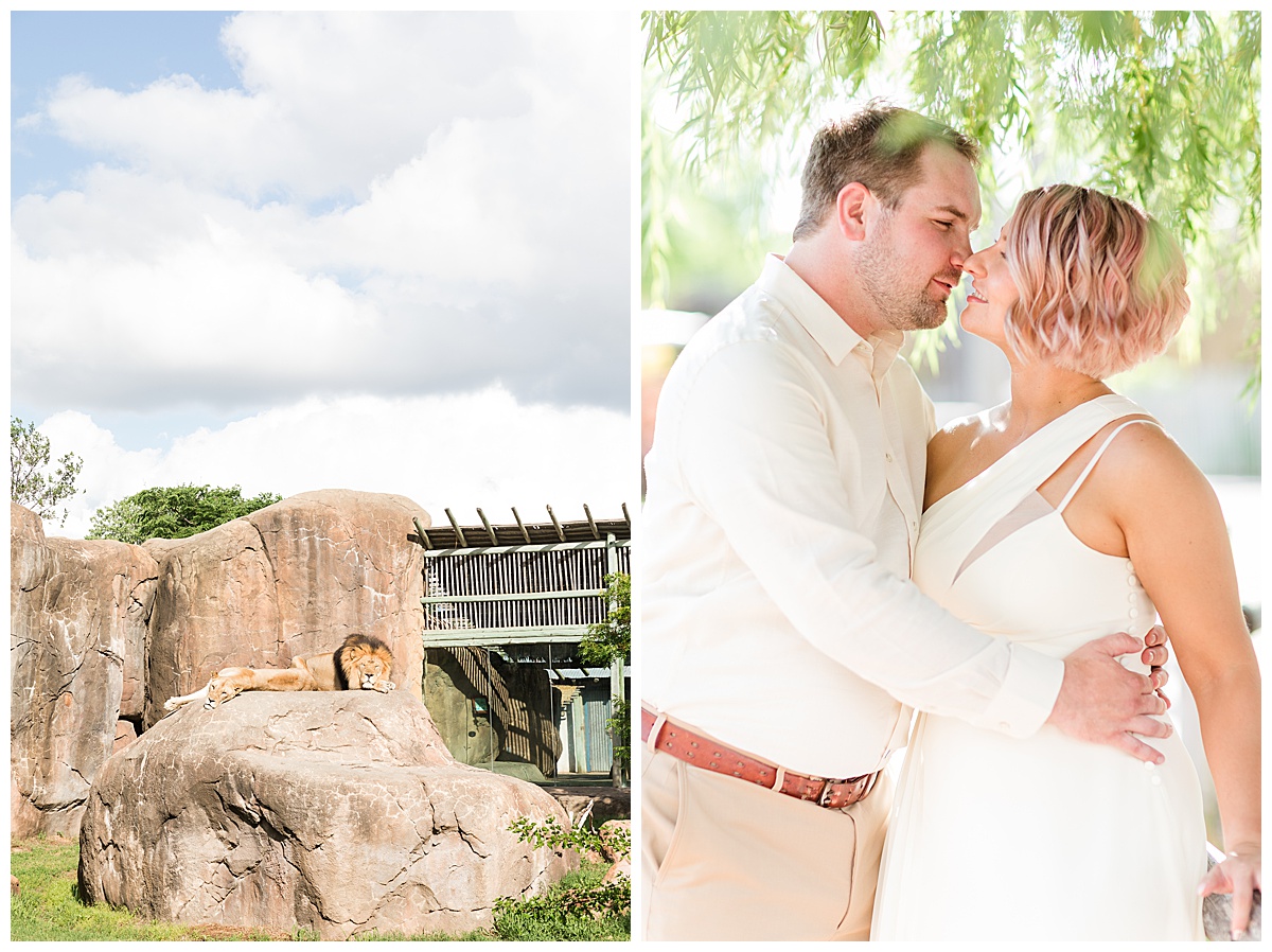 Wedding at the Zoo - jeanizecilliersphotography.com